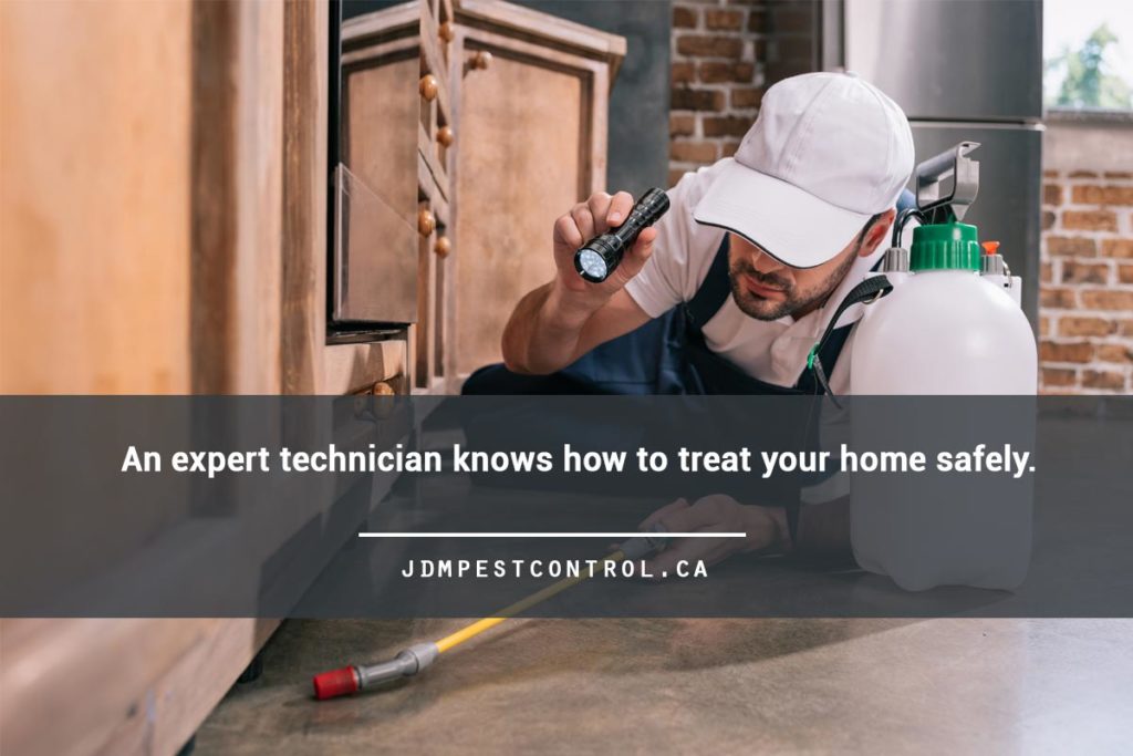 Keeping Children and Pets Safe During Pest Control | JDM Pest Control