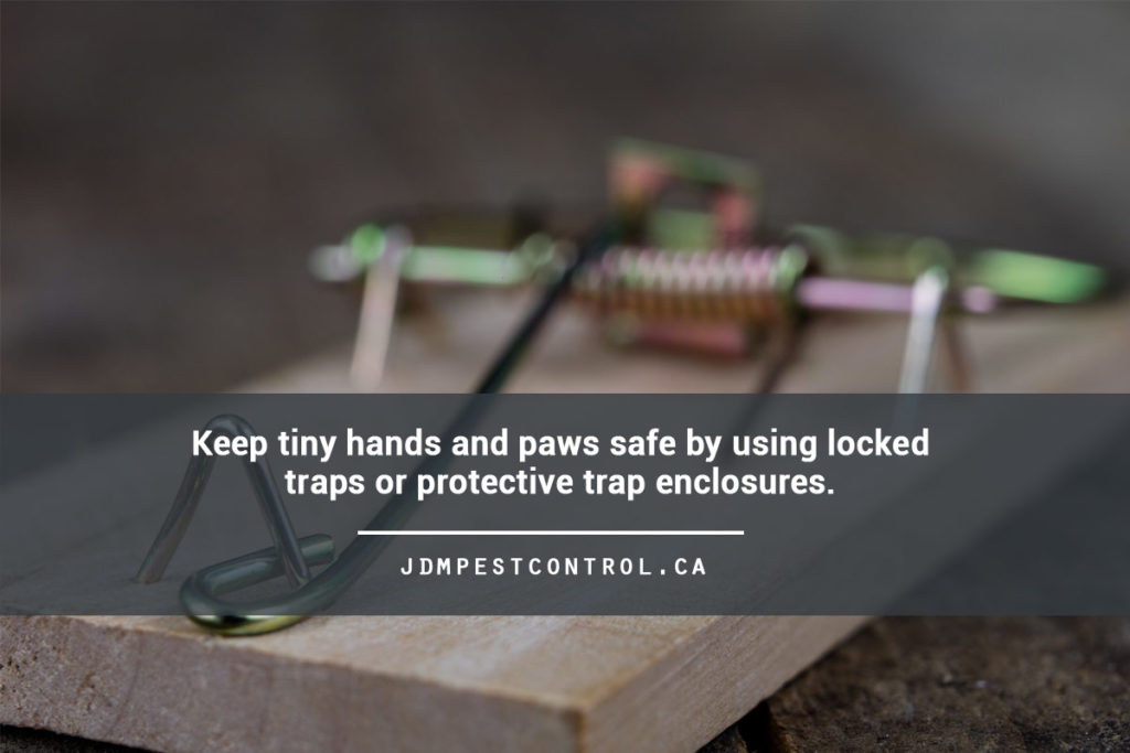 Keeping Children and Pets Safe During Pest Control | JDM Pest Control