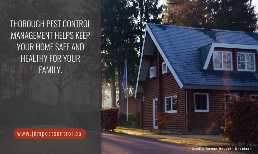 Effective Ways to Pest-Proof Your Home in Spring