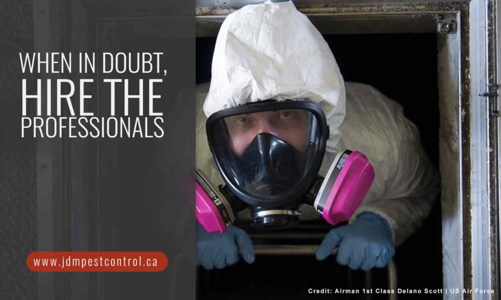 How to Protect Your Clothes from Insect Damage