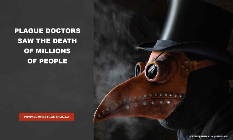 5 Worst Pest Disasters in History - JDM Pest Control