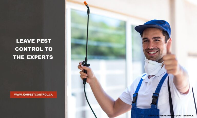 7 Habits That Might be Attracting Pests to Your Home - JDM Pest Control