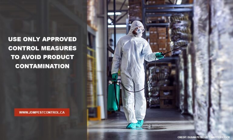 Controlling the Risk of Store Product Pests Infestation - JDM Pest Control